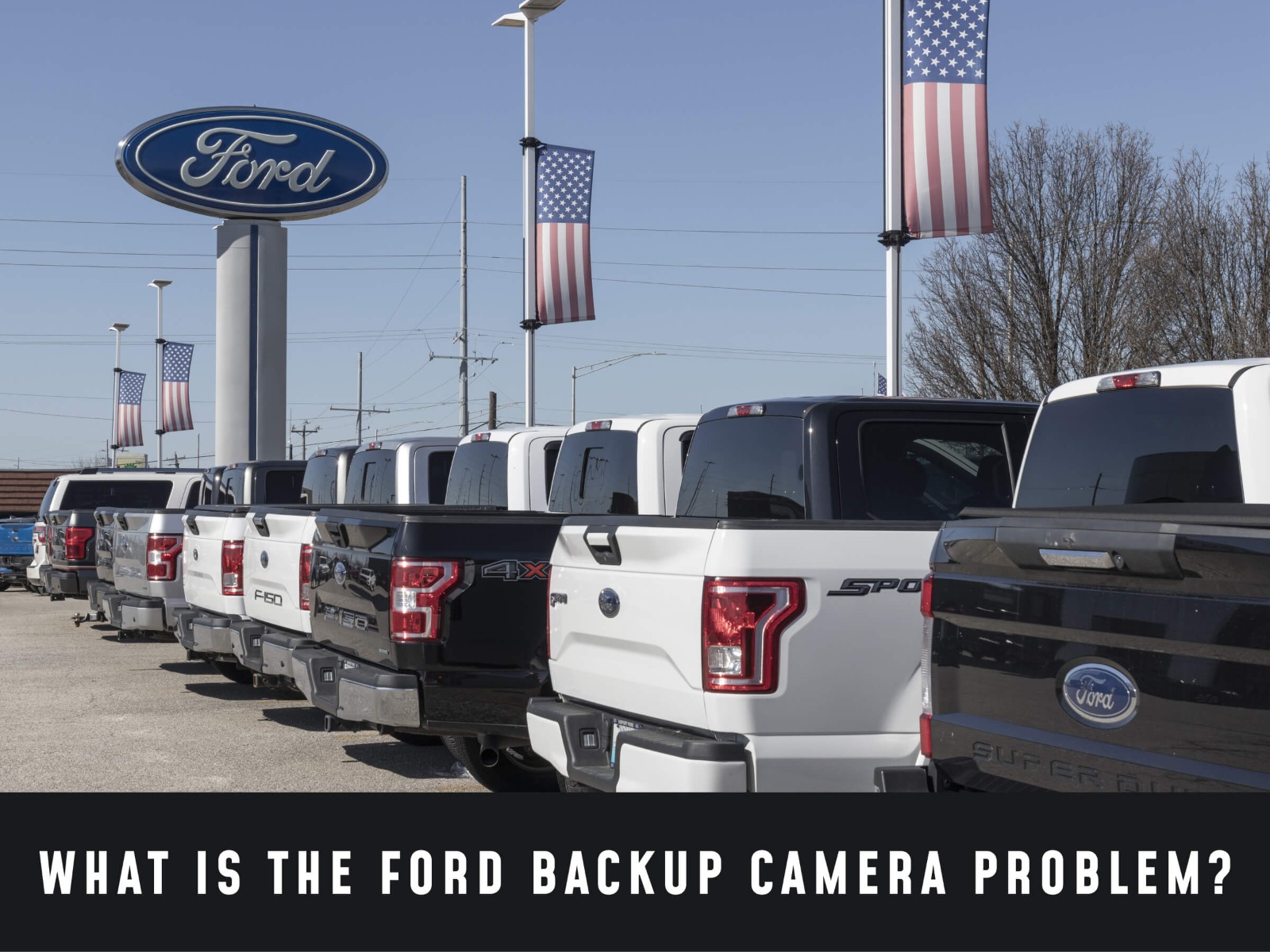 What is the Ford Backup Camera Problem? Causes and Solutions - Camera Source Backup Cameras