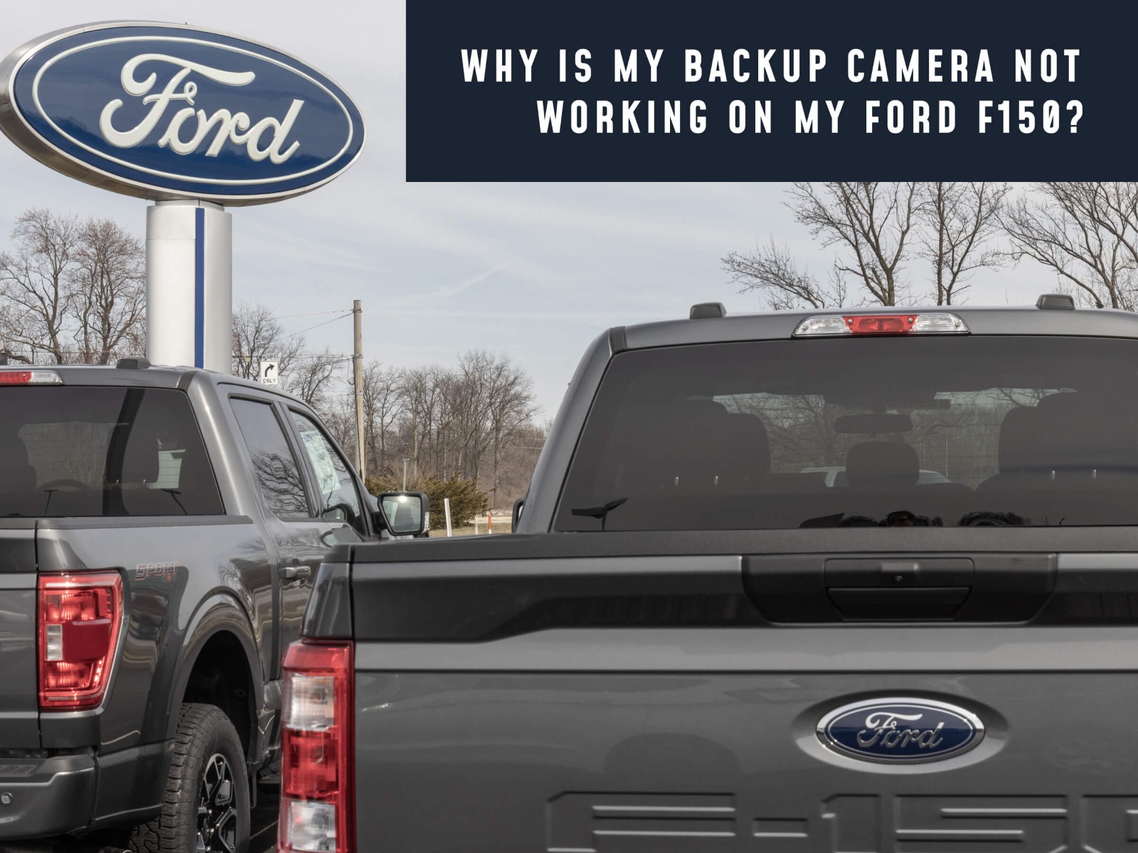 What is the Ford Backup Camera Problem? Causes and Solutions - Camera Source Backup Cameras